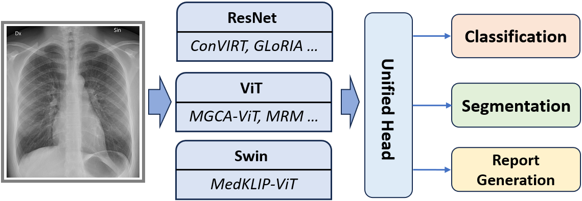 BenchX: A Unified Benchmark Framework for Medical Vision-Language ...