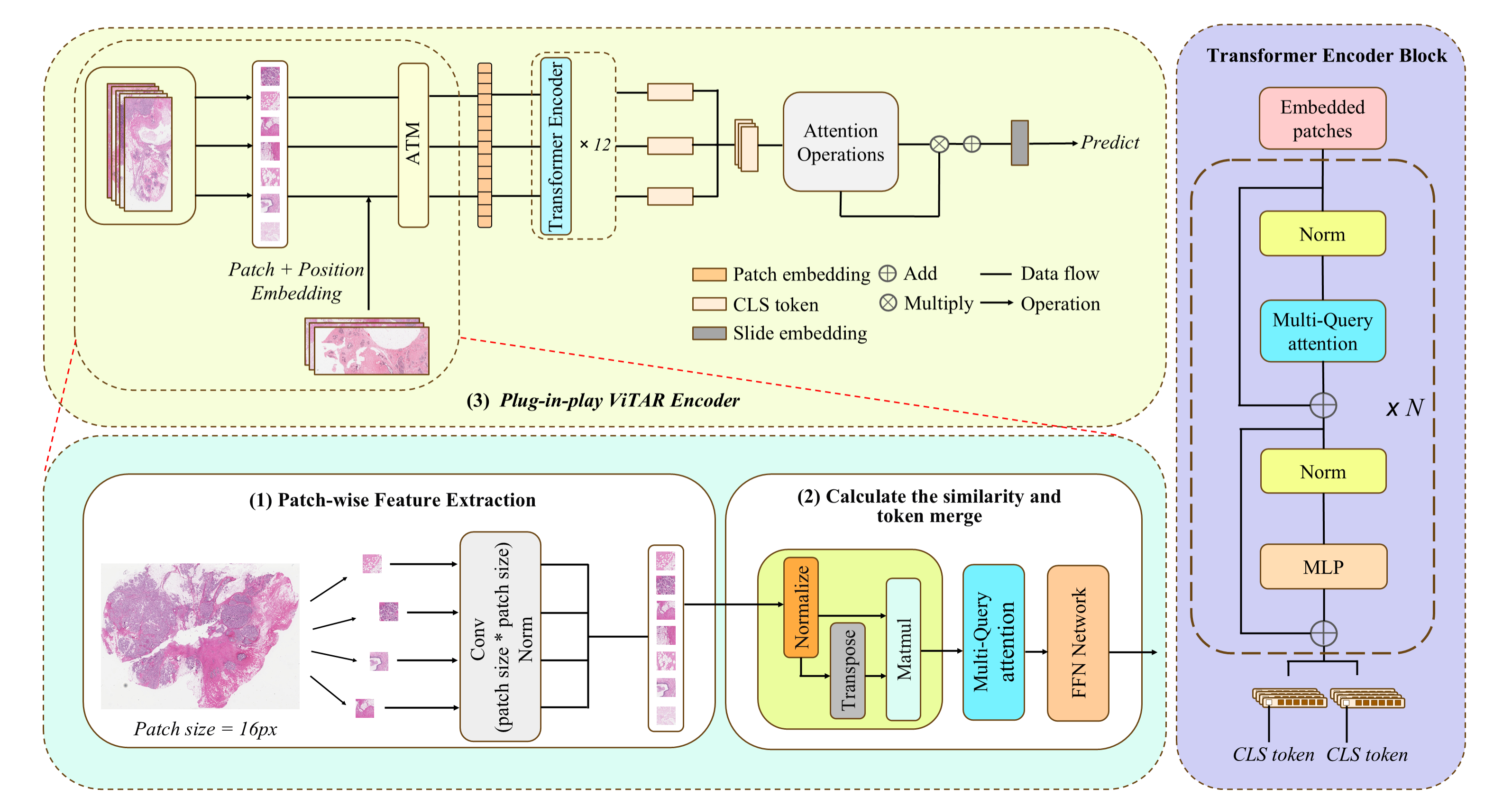 PathoHR: Breast Cancer Survival Prediction on High-Resolution ...