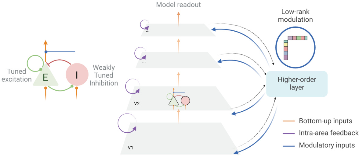 Flexible Context-Driven Sensory Processing in Dynamical Vision Models · NeurIPS 2024