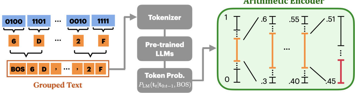 Language Models As Zero Shot Lossless Gradient Compressors Towards General Neural Parameter