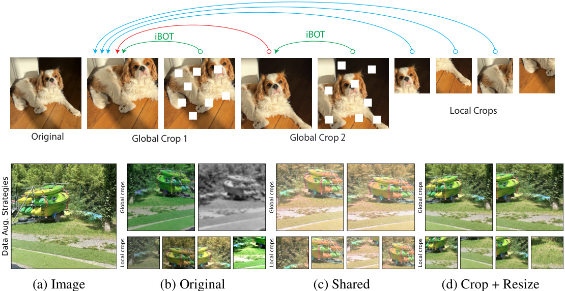 You Don’t Need Domain-Specific Data Augmentations When Scaling Self-Supervised Learning ...