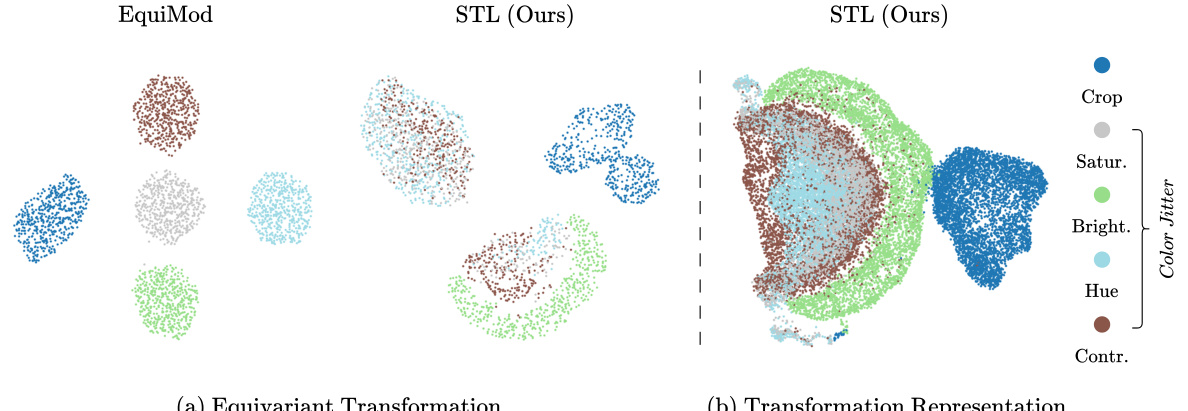 Self-supervised Transformation Learning for Equivariant Representations · NeurIPS 2024