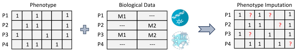 Unified Insights: Harnessing Multi-modal Data for Phenotype Imputation ...