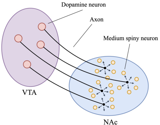 Temporal-Difference Learning Using Distributed Error Signals · NeurIPS 2024