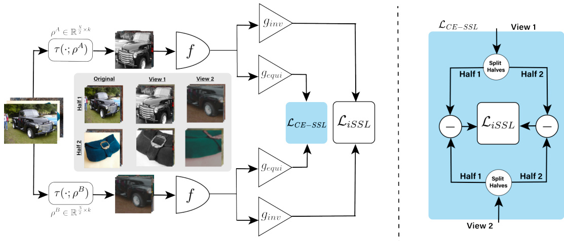 Contrastive-Equivariant Self-Supervised Learning Improves Alignment with Primate Visual Area IT ...
