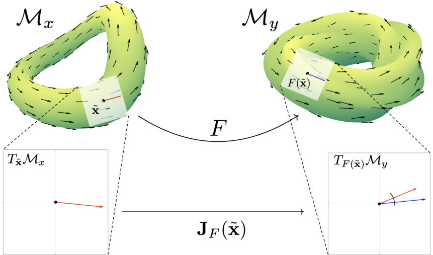 Tangent Space Causal Inference: Leveraging Vector Fields for Causal ...