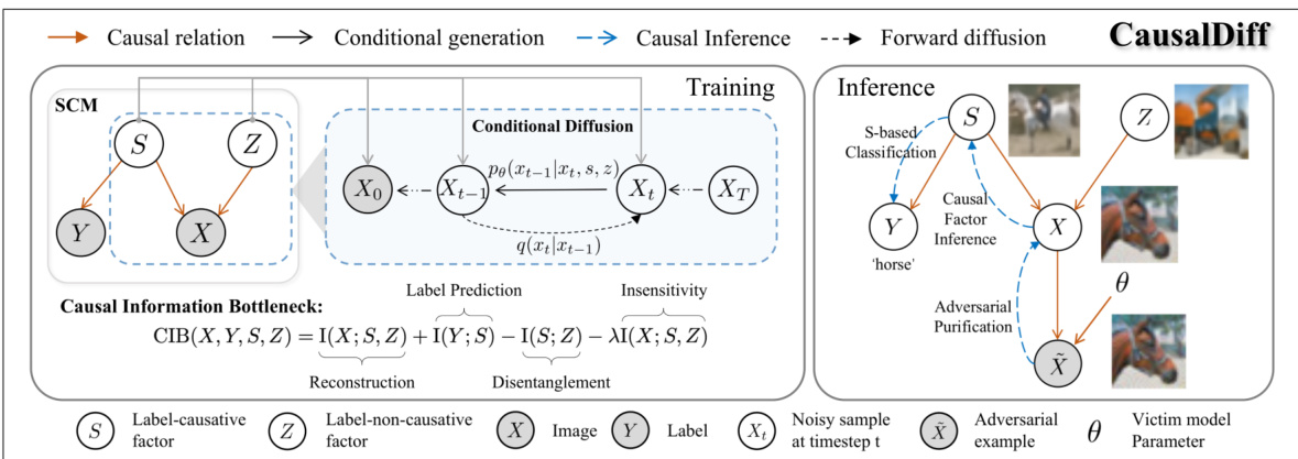 CausalDiff: Causality-Inspired Disentanglement via Diffusion Model for Adversarial Defense ...