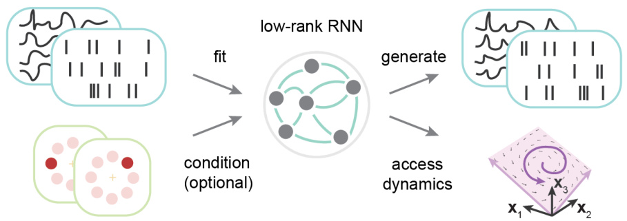 Inferring stochastic low-rank recurrent neural networks from neural data · NeurIPS 2024