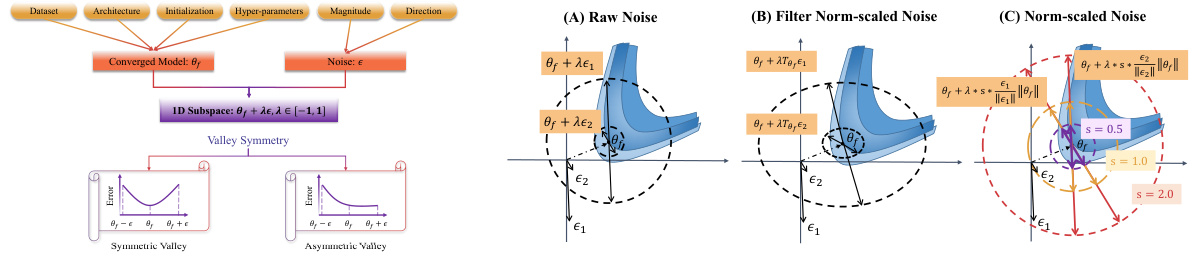 Exploring And Exploiting The Asymmetric Valley Of Deep Neural Networks