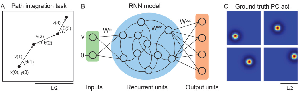 Not so griddy: Internal representations of RNNs path integrating more ...