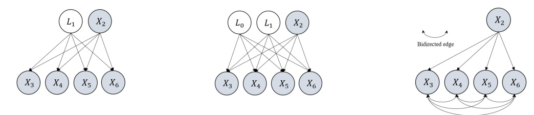 On the Parameter Identifiability of Partially Observed Linear Causal ...