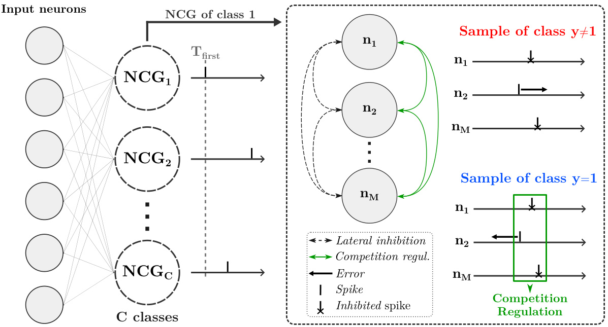 Neuronal Competition Groups with Supervised STDP for Spike-Based Classification · NeurIPS 2024