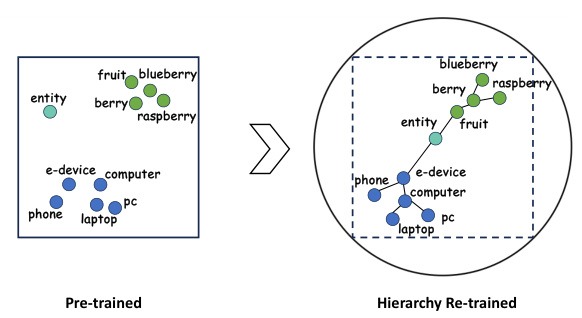 Language Models as Hierarchy Encoders · NeurIPS 2024