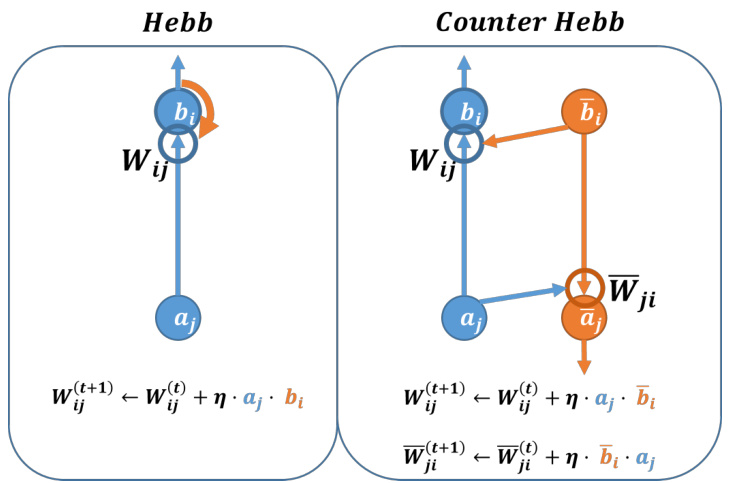 Biologically-Inspired Learning Model for Instructed Vision · NeurIPS 2024