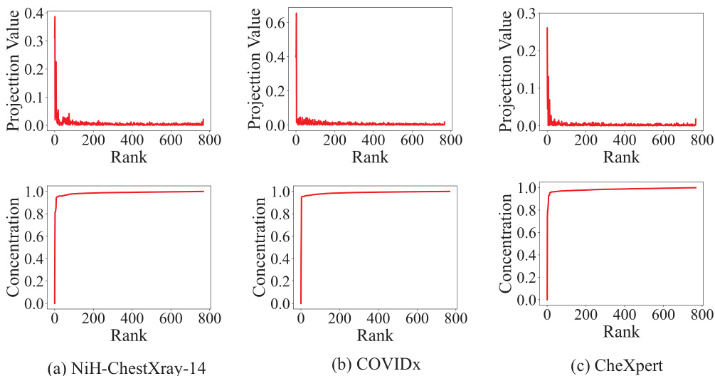 Learning Low-Rank Feature for Thorax Disease Classification · NeurIPS 2024