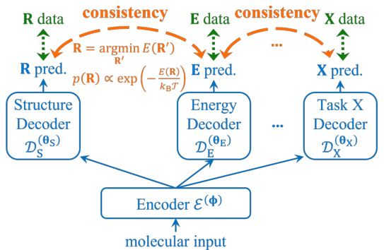 Physical Consistency Bridges Heterogeneous Data in Molecular Multi-Task Learning · NeurIPS 2024