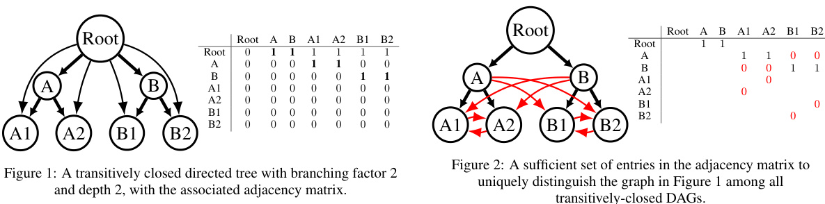 Learning Representations for Hierarchies with Minimal Support · NeurIPS 2024