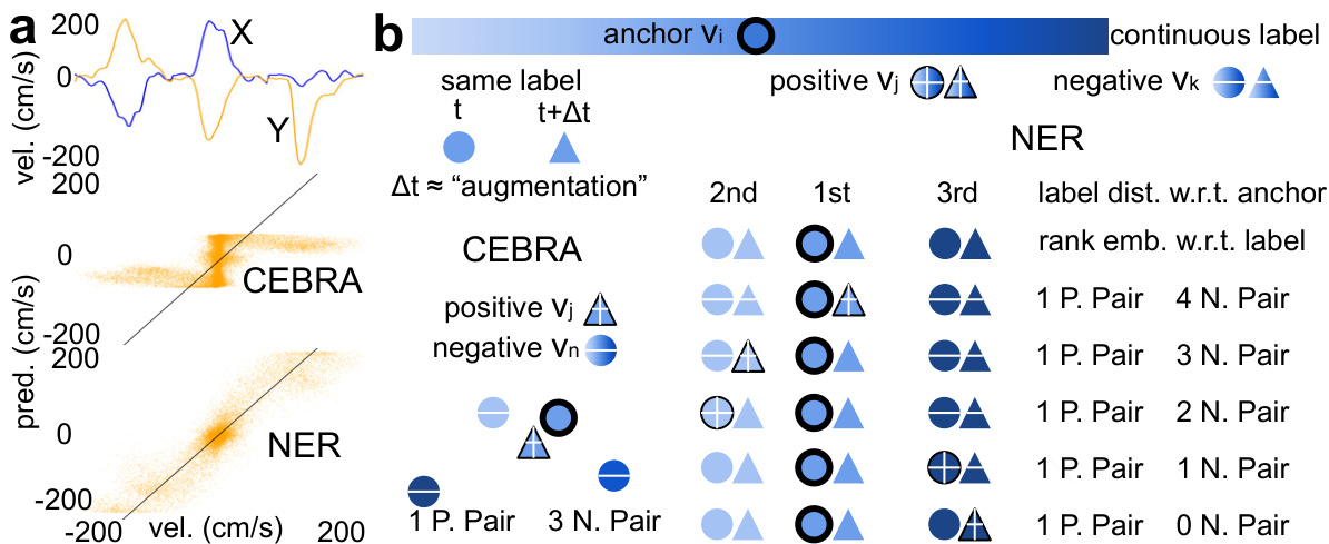Neural Embeddings Rank: Aligning 3D latent dynamics with movements ...