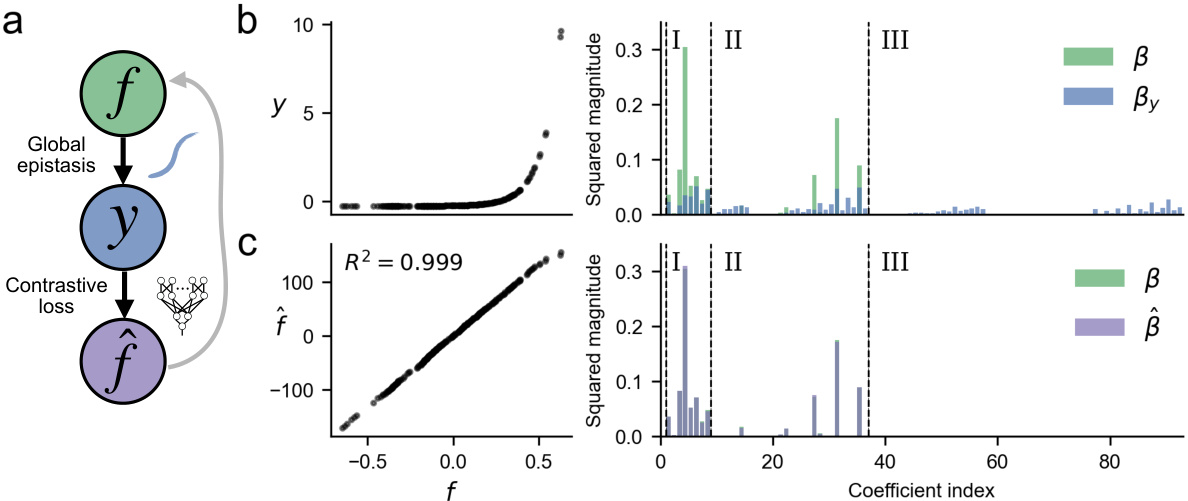 Contrastive losses as generalized models of global epistasis · NeurIPS 2024
