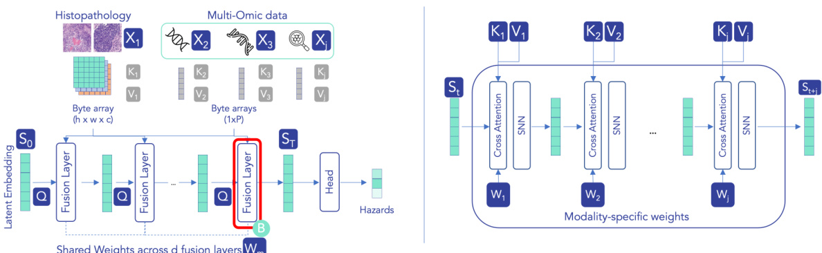 HEALNet: Multimodal Fusion for Heterogeneous Biomedical Data · NeurIPS 2024