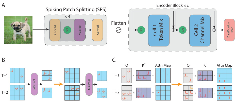 Spiking Token Mixer: A event-driven friendly Former structure for ...