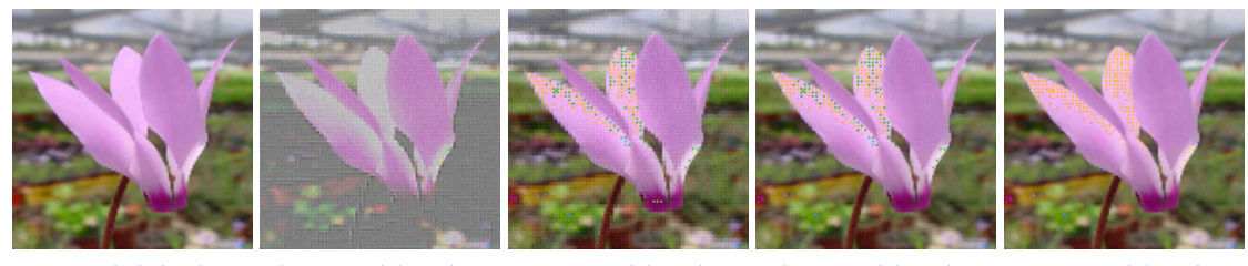 WaveAttack: Asymmetric Frequency Obfuscation-based Backdoor Attacks Against Deep Neural Networks ...