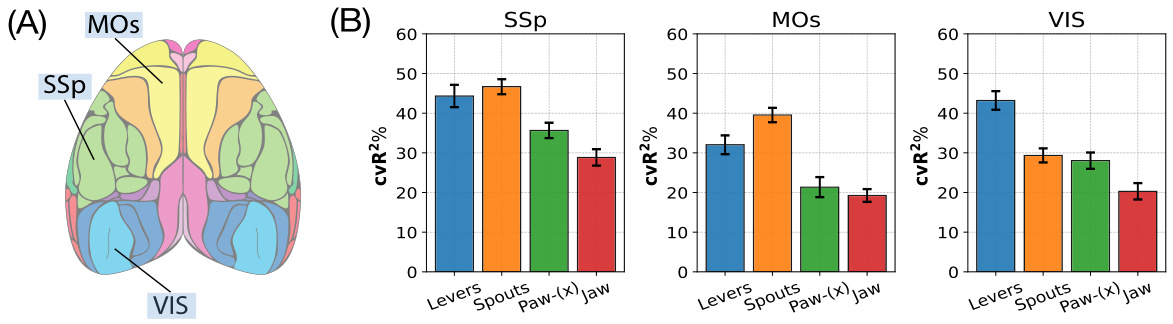 Exploring Behavior Relevant And Disentangled Neural Dynamics With Generative Diffusion Models