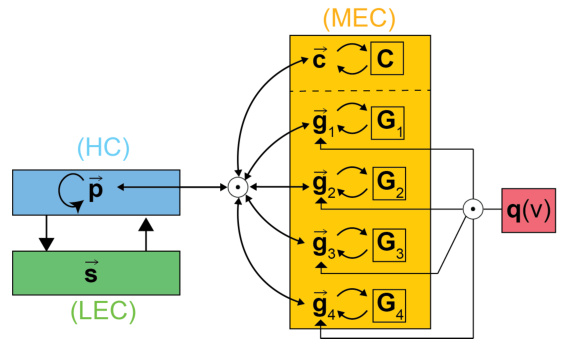 Binding in hippocampal-entorhinal circuits enables compositionality in cognitive maps · NeurIPS 2024