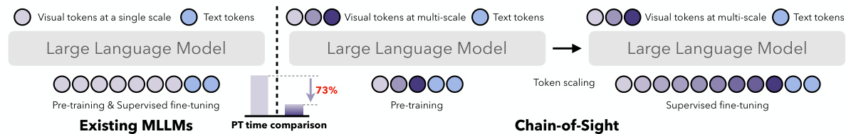 Accelerating Pre-training of Multimodal LLMs via Chain-of-Sight ...