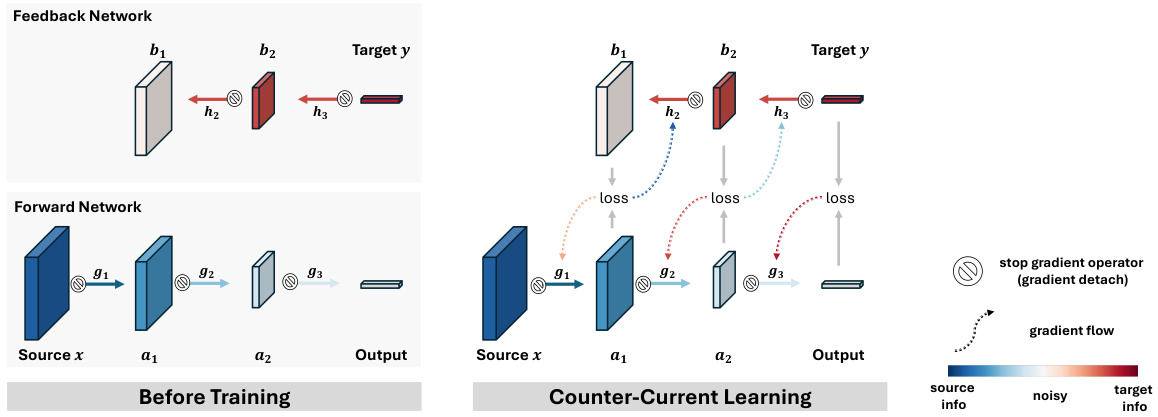 Counter-Current Learning: A Biologically Plausible Dual Network Approach for Deep Learning ...