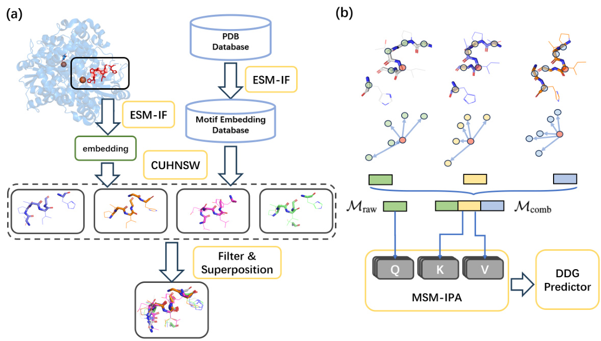 Enhancing Protein Mutation Effect Prediction through a Retrieval-Augmented Framework · NeurIPS 2024
