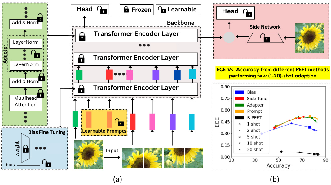 Be Confident in What You Know: Bayesian Parameter Efficient Fine-Tuning of Vision Foundation ...