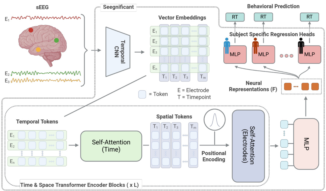 Neural decoding from stereotactic EEG: accounting for electrode variability across subjects ...