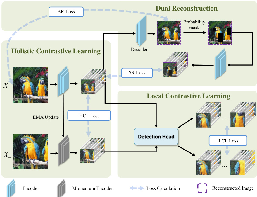 Long-tailed Object Detection Pretraining: Dynamic Rebalancing Contrastive Learning with Dual ...