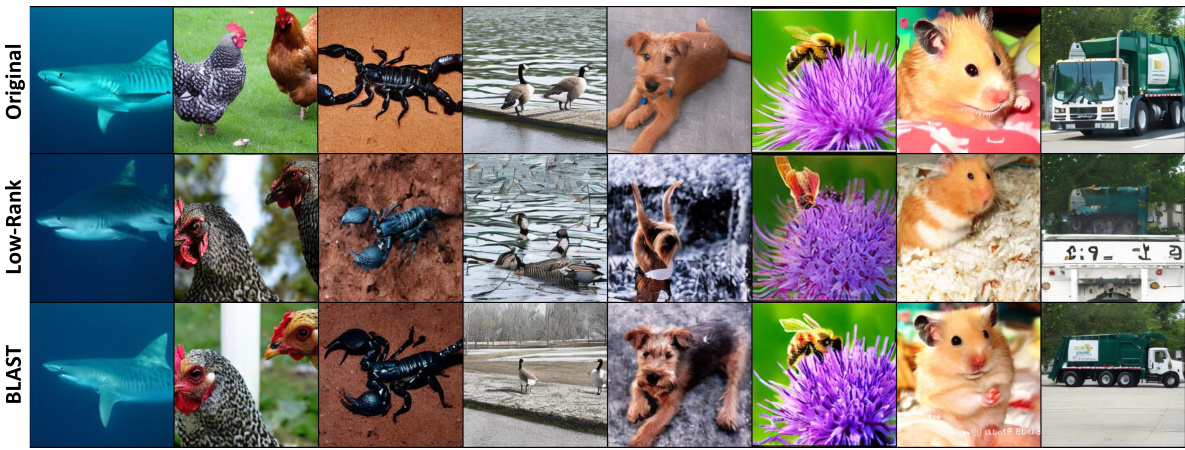 Blast Block Level Adaptive Structured Matrices For Efficient Deep Neural Network Inference