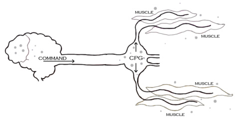 Integrating Suboptimal Human Knowledge with Hierarchical Reinforcement Learning for Large-Scale ...