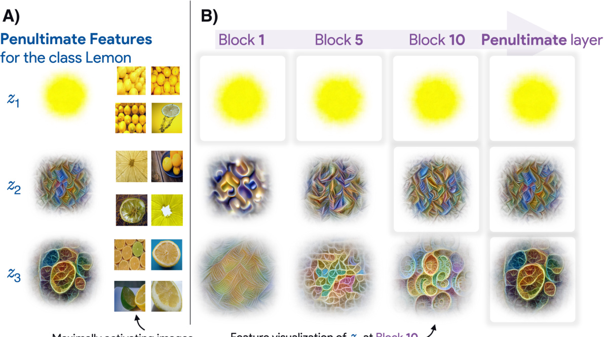 Understanding Visual Feature Reliance through the Lens of Complexity ...