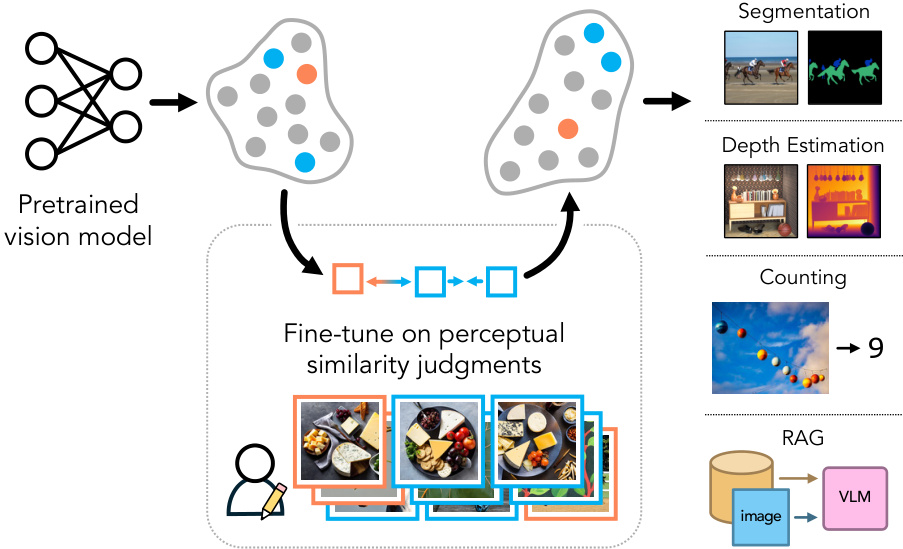 When does perceptual alignment benefit vision representations? · NeurIPS 2024