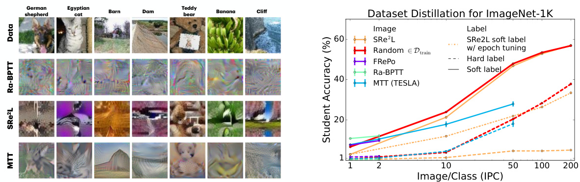 A Label is Worth A Thousand Images in Dataset Distillation · NeurIPS 2024