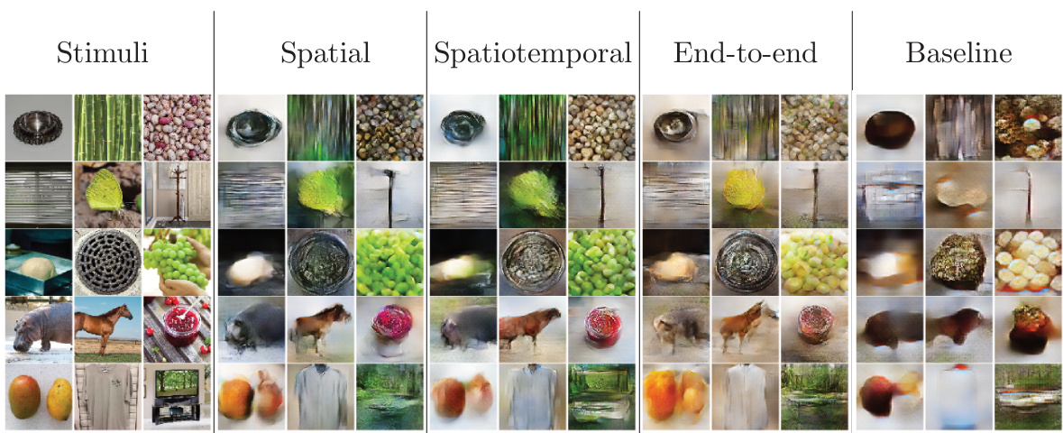 MonkeySee: Space-time-resolved reconstructions of natural images from ...