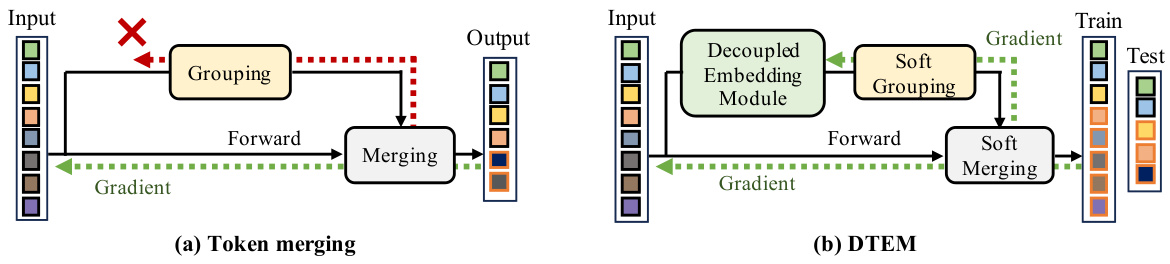 Learning to Merge Tokens via Decoupled Embedding for Efficient Vision Transformers · NeurIPS 2024