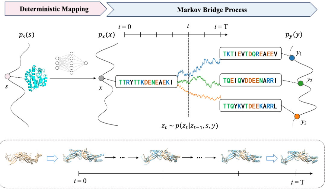 Bridge-IF: Learning Inverse Protein Folding with Markov Bridges ...