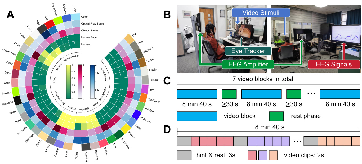 EEG2Video: Towards Decoding Dynamic Visual Perception from EEG Signals · NeurIPS 2024
