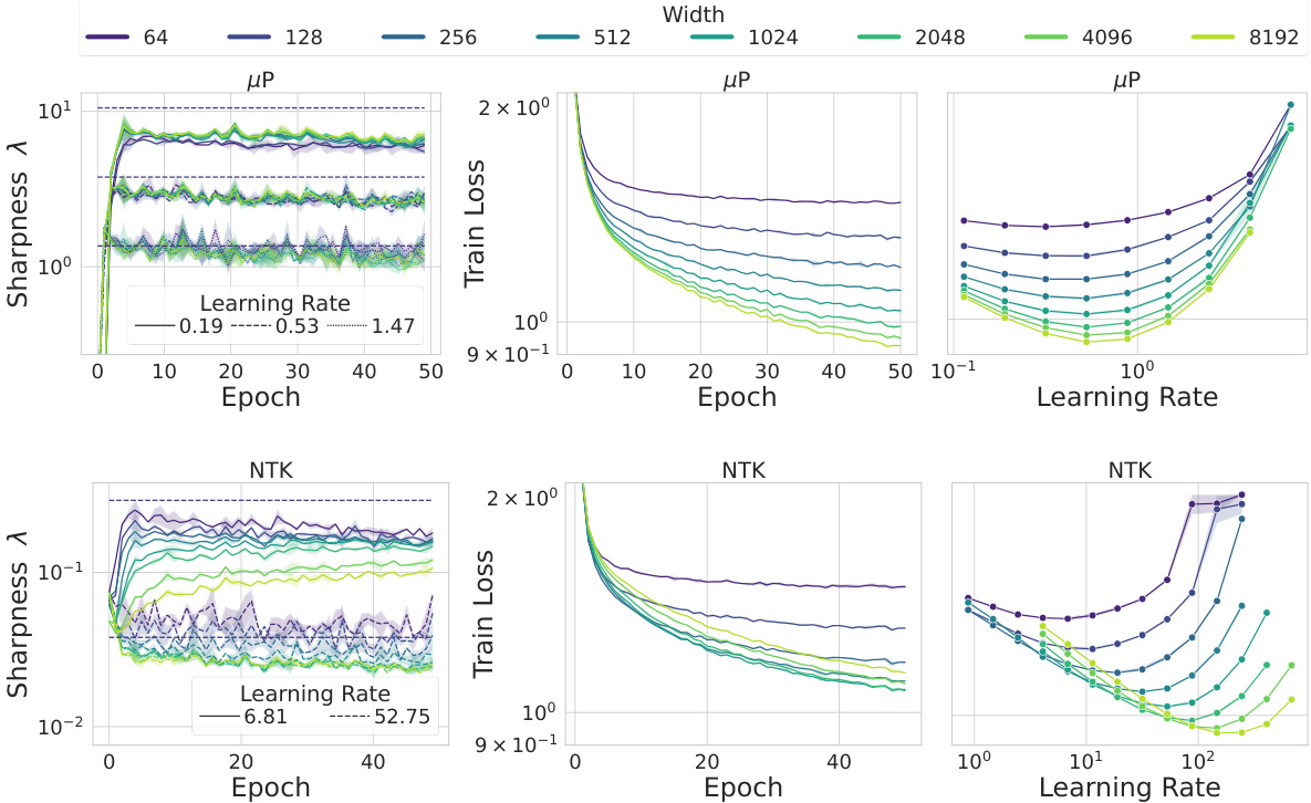 Super Consistency of Neural Network Landscapes and Learning Rate Transfer · NeurIPS 2024
