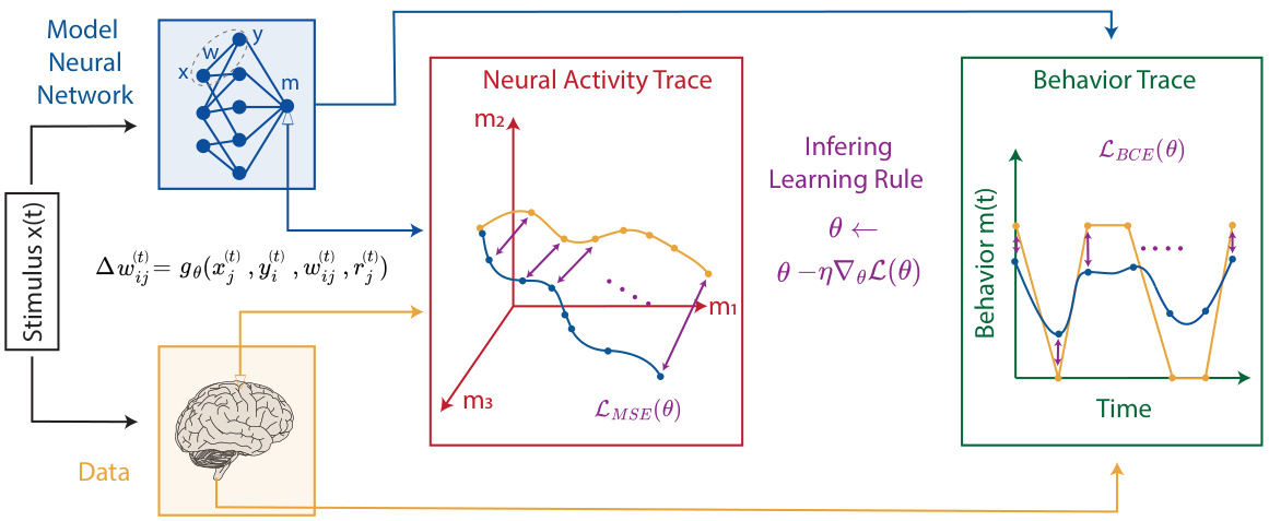 Model Based Inference of Synaptic Plasticity Rules · NeurIPS 2024