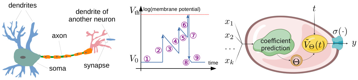 PPLNs: Parametric Piecewise Linear Networks for Event-Based Temporal Modeling and Beyond ...