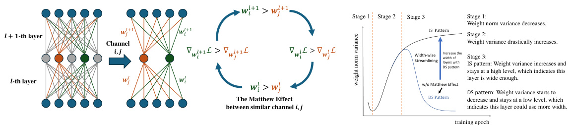 Unveiling The Matthew Effect Across Channels: Assessing Layer Width ...