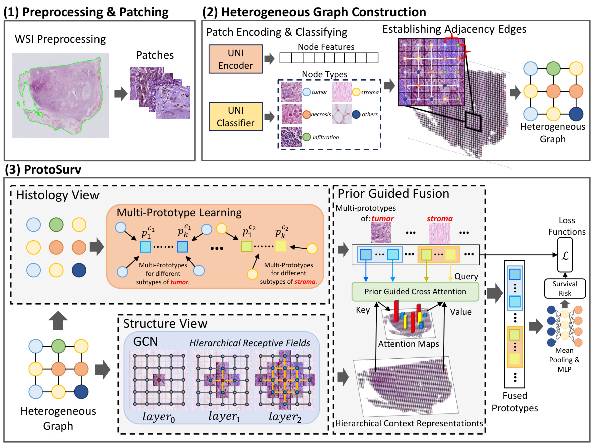 Leveraging Tumor Heterogeneity: Heterogeneous Graph Representation Learning for Cancer Survival ...