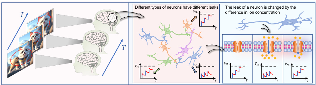 FEEL-SNN: Robust Spiking Neural Networks with Frequency Encoding and ...