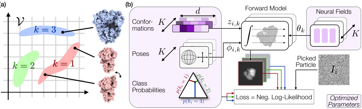 Mixture of neural fields for heterogeneous reconstruction in cryo-EM · NeurIPS 2024